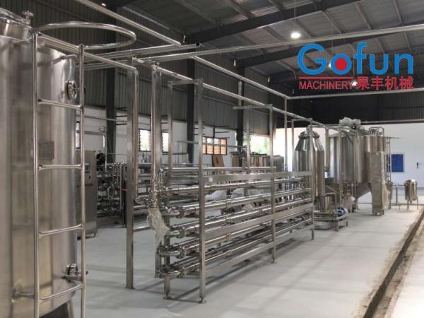 Saft- und Pureeverarbeitungsmaschine für die Ananasverarbeitungslinie