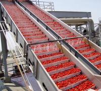 China Tomato sauce processing special evaporation equipment production line High viscosity processing for sale