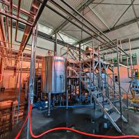 China Multifunctional Tomato Processing Line With Turnkey Processing Adjustable for sale