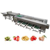 China Stainless Steel Roller Sorting Machine With Automatic Sorting Functionality for sale