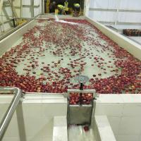 China Industrial Apple Processing Line Multi-function Fruit Juice Processing Line With PLC Control System for sale