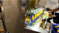 China Commercial Mango Dried Fruit Processing Line | Complete Mango Chip & Sliced Dried Machine Line for sale