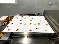 China Dried Vegetable Processing Production Line  Energy-saving Environmentally Friendly for sale