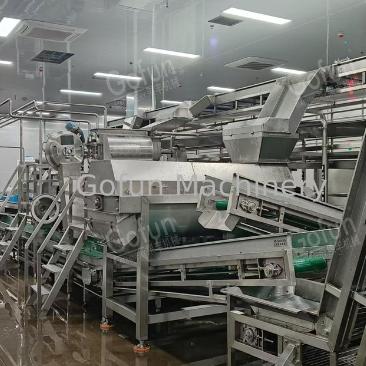 China Custom Vegetable Processing Line for Juice Paste Sauce 60-1500 t/d for sale