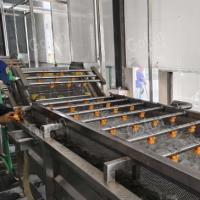 China Industrial Berry Juice Processing Line 200T/Day Turnkey Solution for sale