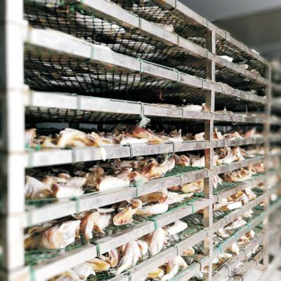 China Low-Temperature Dehumidifying Heat Pump Dehumidifier with 15-30°C Adjustable Temperature and 5-99% RH Adjustable Humidity for Fruit Drying Machine for sale