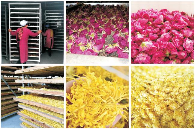 Heat pump drying process