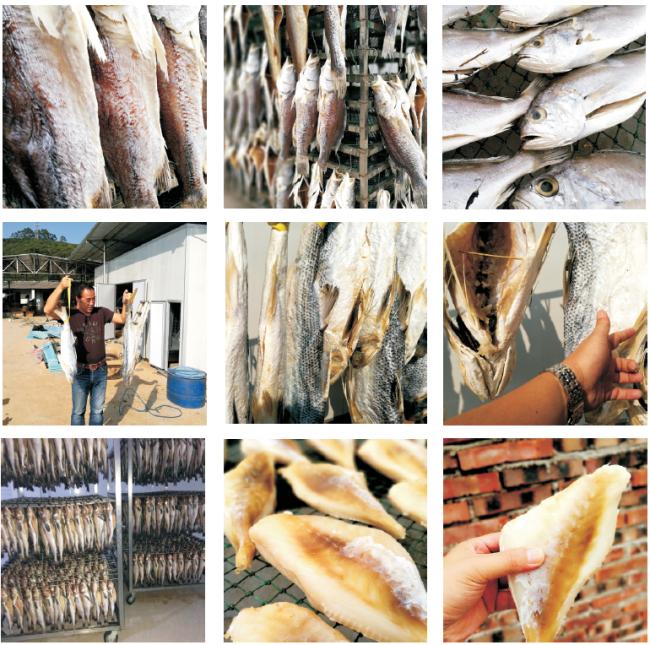 Drying system components