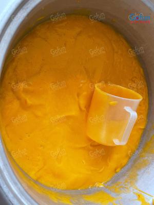 China Complete Mango Processing Line | From Fresh Fruit to Aseptic Puree & Juice Concentrate for sale