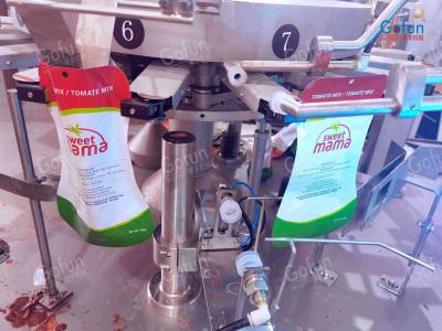 China Customized Capacity SUS304 Stainless Steel Turnkey Tomato Processing Line for Tomato Paste Production for sale