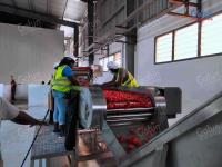 China Industrial Tomato Paste Processing Line for Fruit Factory for sale