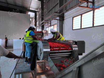 China Customized Capacity SUS304 Tomato Juice Processing Line with Turnkey Aseptic Filling Solution for sale