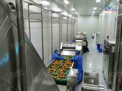 China Affordable Mango Processing Line  High Output, Low Maintenance for sale