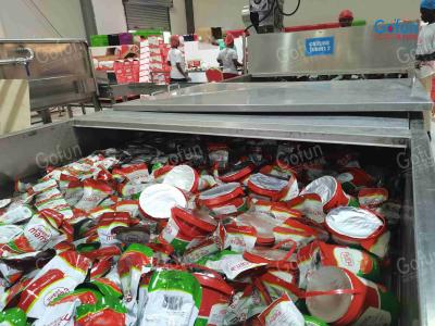 China Energy Saving Tomato Paste Production Machinery | Triple Effect Evaporator & Aseptic Bag Filling System for sale