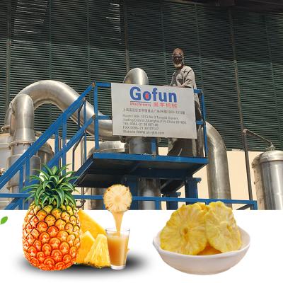 China Fully Automatic Pineapple Jam Processing Line with Food-Grade 304 Stainless Steel and Customizable Capacity for Commercial Food Factories for sale