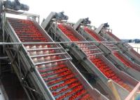 China Industrial Vegetable Processing Line Tomato Paste Processing Line Water Saving Easy Operation for sale