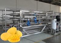 China SS304 UHT Pasteurization Machine Pear Paste Turnkey Processing Line for sale