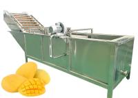 China Stable Performance Mango Processing Line Mango Concentrate Turnkey Solution for sale