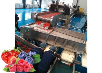 China Garantía de un año completamente automática de las máquinas de proceso del zumo de fruta de NFC en venta