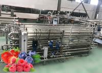 China Berry Paste Pulp Industrial Pasteurizer Turnkey Processing Line Easy Clean for sale