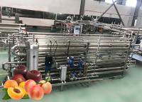China SS304 UHT Pasteurization Machine Pear Paste Turnkey Processing Line for sale