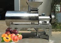 China Professional Peach Processing Plant Plum Concentration Processing Line for sale