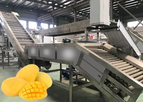 Поддержка деятельности технологической линии пюра манго 10T/H 440V гибкая
