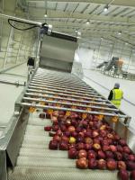 China Industrial Apple Processing Line Fruit Juice Processing Equipment for sale