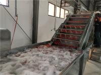 China 250t/D Multifunctional Tomato Sauce Processing Line for sale