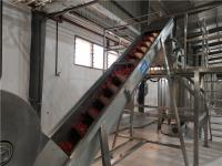 China 250t/D Multifunctional Tomato Sauce Processing Line for sale