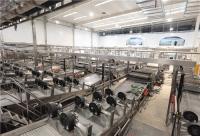 China Double Concentrate Berry Fruit Tomato Processing Line for sale