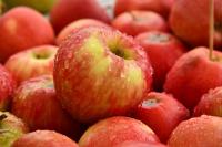 China Ss304 Apple Processing Line Automatic Fruit Juice Making Machine 380V for sale