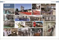 China SS304 Complete Tomato Processing Line 1500T/D Easy Operation for sale