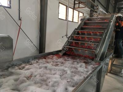 China 10T/H SUS 304 Tomato Paste Processing Line Energy Saving for sale