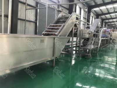China 100T/D Mango Processing Line SUS304 Mango Juice Processing Machines One Stop Service for sale