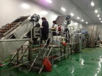 China SUS304 / 316L Mango Juice Processing Machine 3T/H One Stop Service for sale