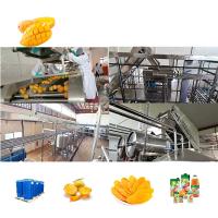 China 3T/D SUS 304 Mango Jam Processing Machine One Stop Service for sale