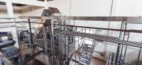 China Automatic Mango Processing Line 100T/D SUS316 for sale