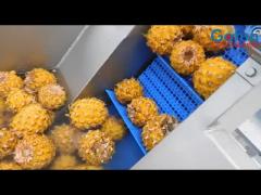 Linha de processamento concentrada 20T/H do suco de fruto do abacaxi