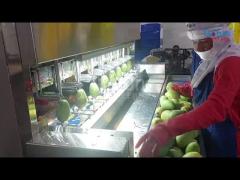 2.8kw Intelligente papaya schilmachine voor fruit en groenten verwerkingslijnen verstelbare schildikte