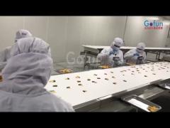 High Effective Small Scale Mango Processing Plant  High Extracting Rate
