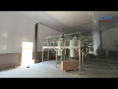 Linha de processamento da manga do SUS 304 fábrica de tratamento da polpa da manga de 10 T/H