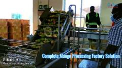 Complete Mango Processing Line Turnkey Factory Solution
