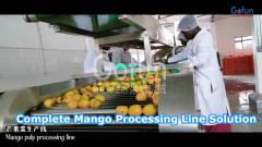Complete Mango Puree Processing Line Turnkey Solution