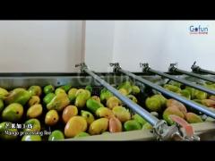 Premium Mango Juice Production Line
