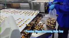 Premium Mango Processing Line Soft Chewy Dried Mango Solution