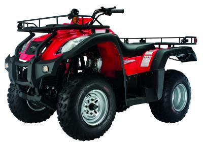 China 250cc ATV Battery Powered All Terrain Vehicle Hand Controlled 4x2 Off Road Snow for sale