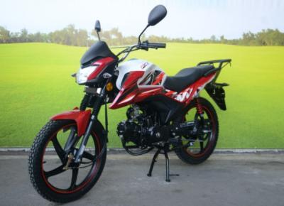Cina 110cc Sport Matte Black Street Bike 12L Fuel Tank With Big Footrest Front Bumper in vendita