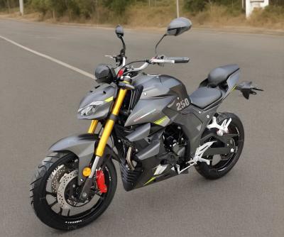 Cina Nuovissima Street Legal 250cc 400cc benzina Motociclette stradali per adulti 250cc enduro motociclette grande motocicletta moto in vendita