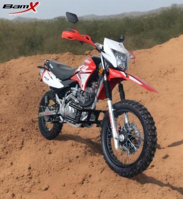 Cina l'ammortizzatore doppio elettrico della bici di sport di 200cc 2.5l, denti profondi va in automobile lo sport doppio in vendita